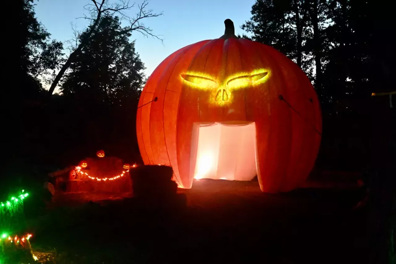 Glenlore Trails' trippy and illuminated haunted forest is spookier than ...