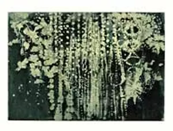 Sight, science and spirit