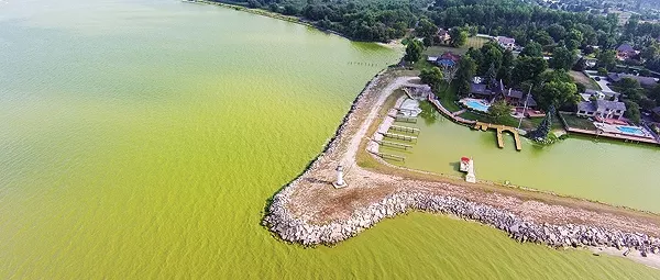 Tainted bloom: A toxic algae bloom caused a three-day ban on water ...