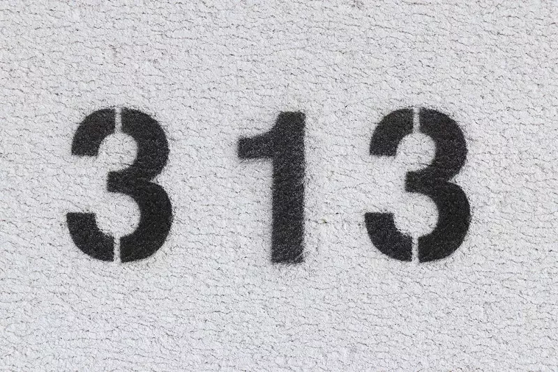 Metro Detroit is running out of phone numbers for its iconic 313 area code