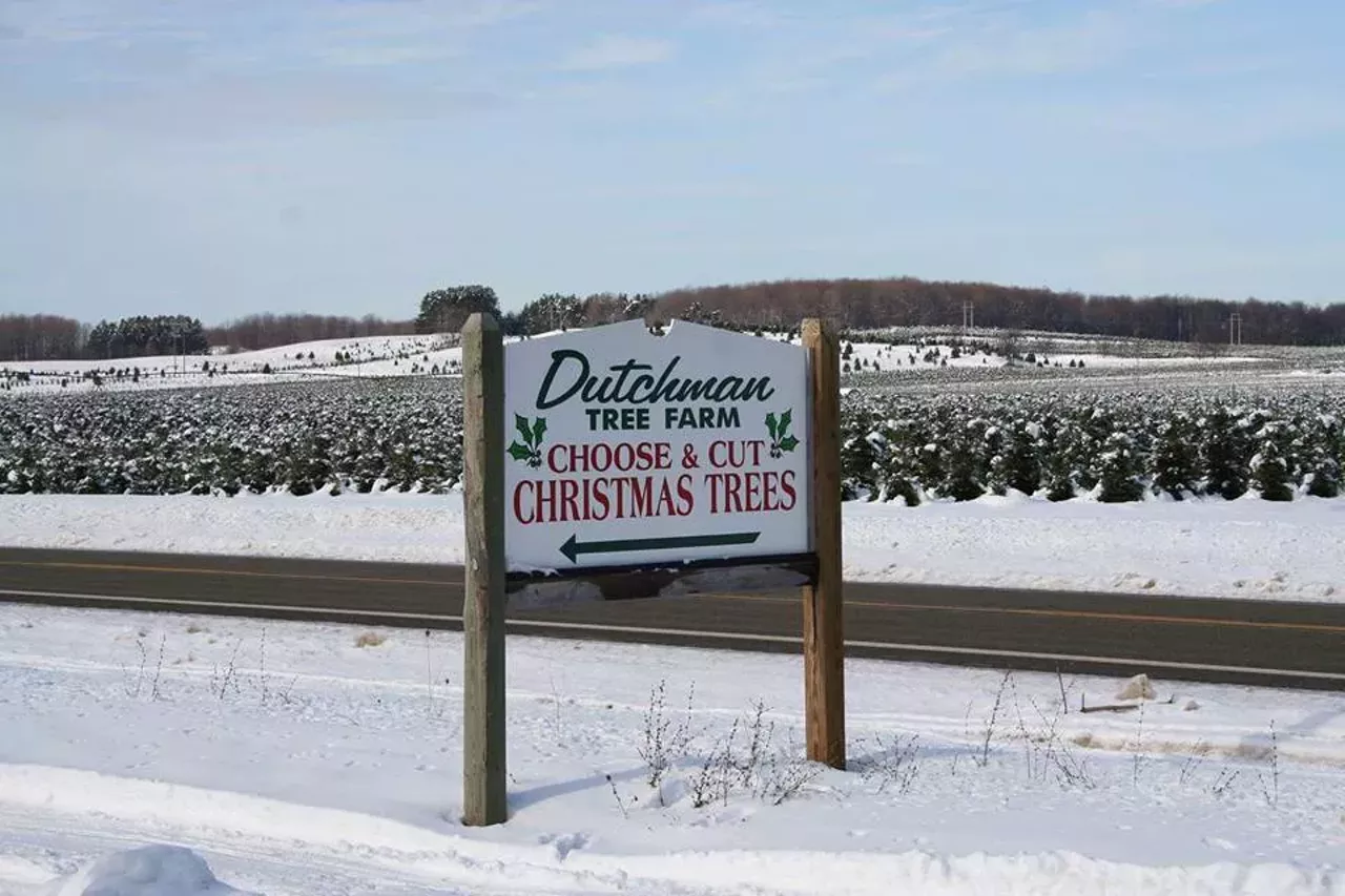 20 tree farms in Michigan that have perfect Christmas trees for your ...