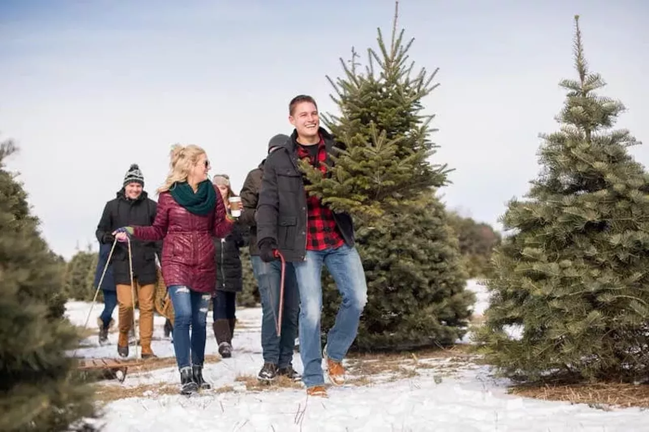 Find the perfect Christmas tree at one of these Michigan tree farms ...