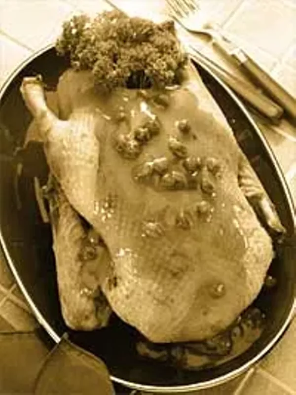 Why a duck? (Part II)